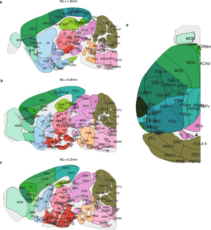 A brain-wide map of neural activity during complex behaviour