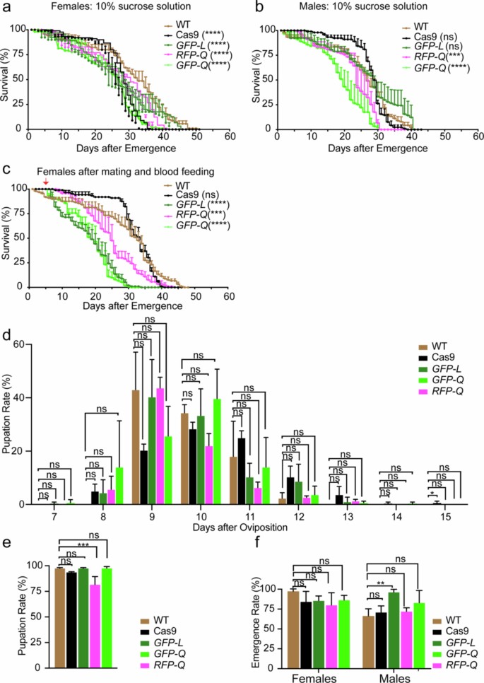 Driving a protective allele of the mosquito FREP1 gene to combat ...