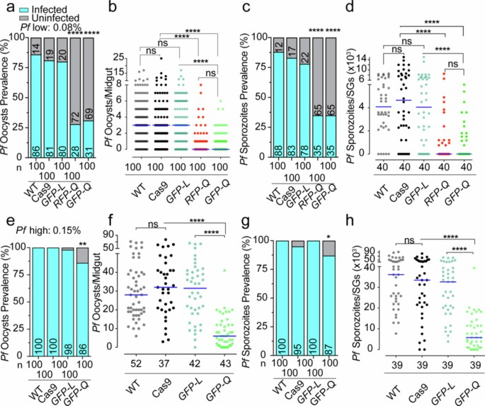 Driving a protective allele of the mosquito FREP1 gene to combat ...