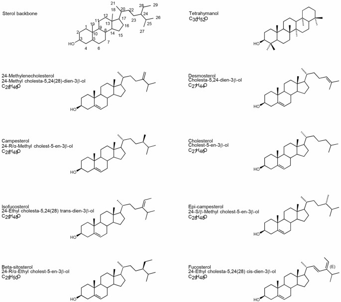 Engineered yeast provides rare but essential pollen sterols for ...