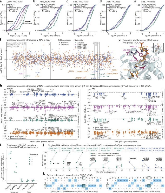 Systematic discovery of CRISPR-boosted CAR T cell immunotherapies | Nature