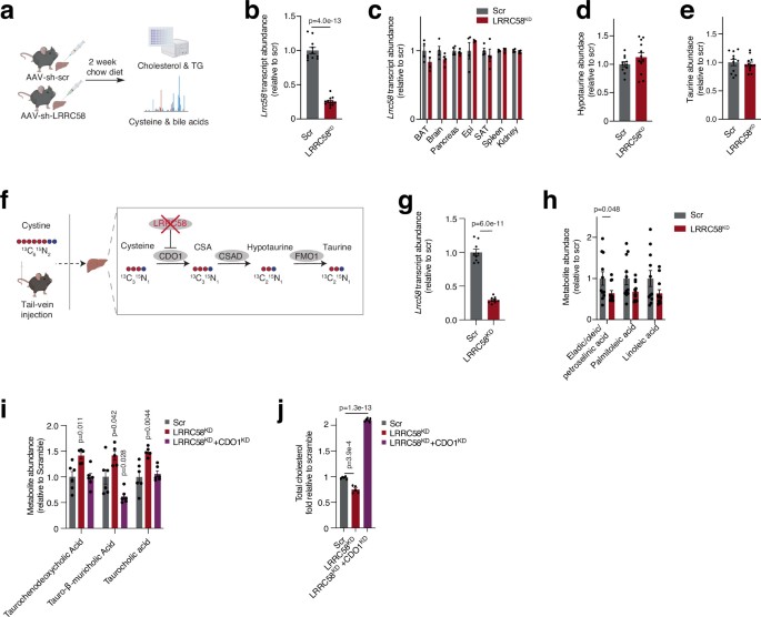 Covariation MS uncovers a protein that controls cysteine catabolism ...