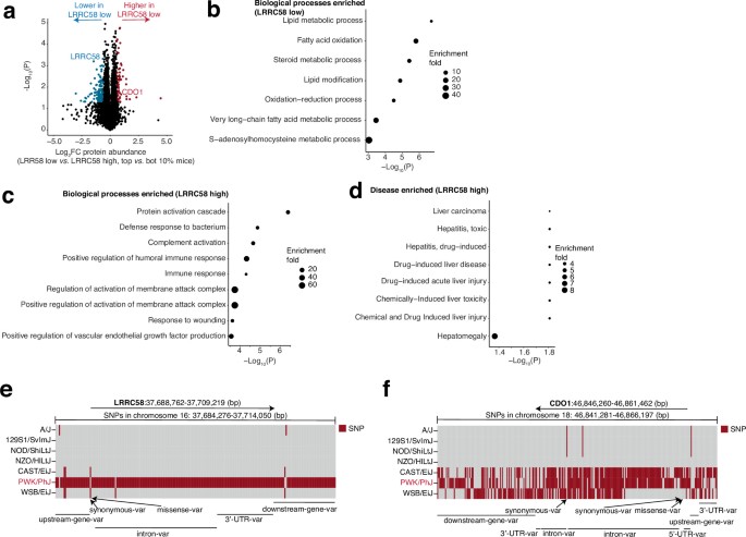 Covariation MS uncovers a protein that controls cysteine catabolism ...
