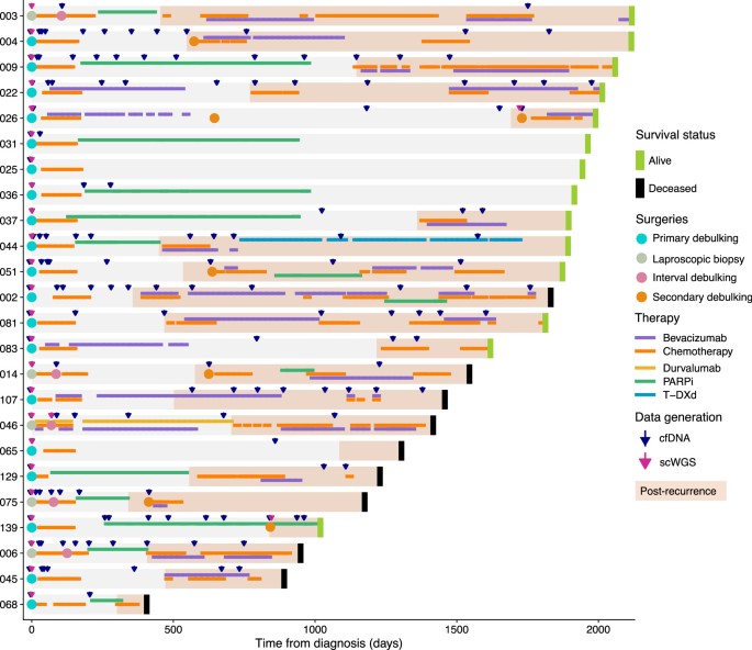 Tracking clonal evolution during treatment in ovarian cancer using cell-free DNA | Nature
