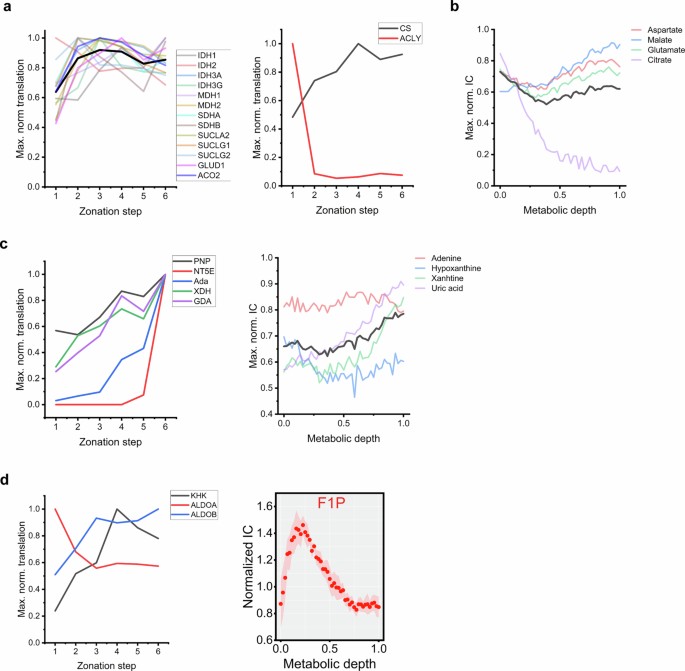 Spatial metabolic gradients in the liver and small intestine | Nature