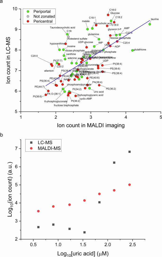Spatial metabolic gradients in the liver and small intestine | Nature