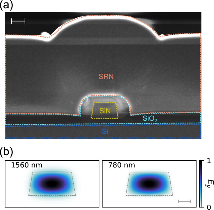 Programmable on-chip nonlinear photonics | Nature