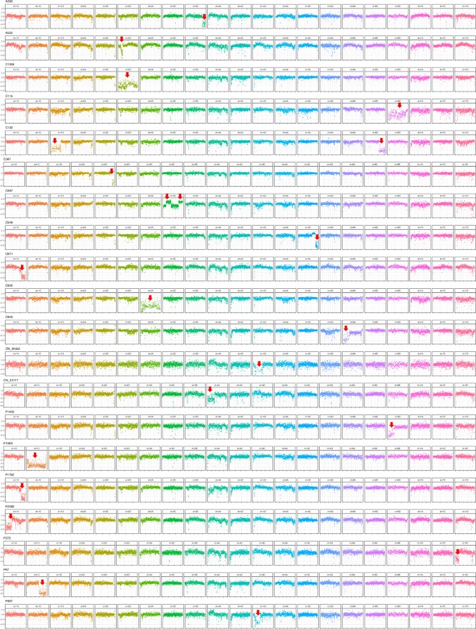 A pangenome and pantranscriptome of hexaploid oat | Nature