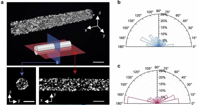 Vector-stimuli-responsive magnetorheological fibrous materials | Nature