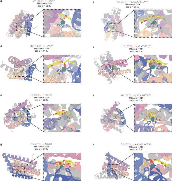 Computational design of metallohydrolases | Nature
