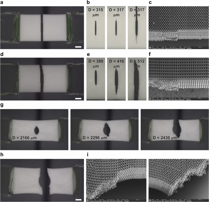 3D nanolithography with metalens arrays and spatially adaptive ...