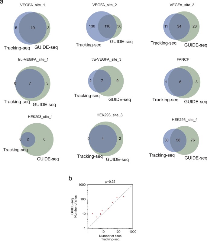 Tracking-seq reveals the heterogeneity of off-target effects in CRISPR ...
