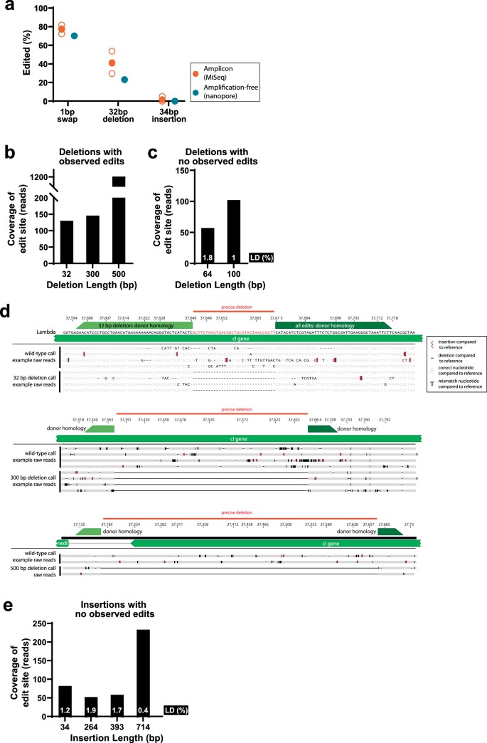 Continuous multiplexed phage genome editing using recombitrons | Nature ...