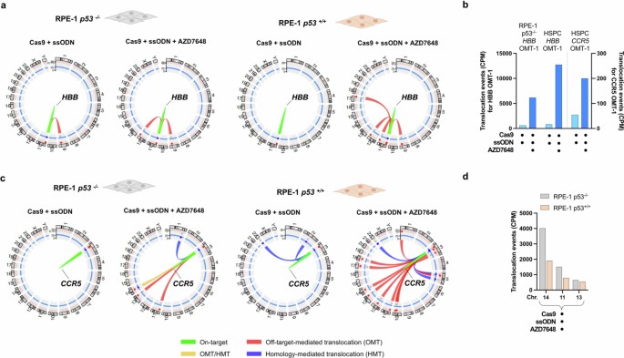 Genome editing with the HDR-enhancing DNA-PKcs inhibitor AZD7648 causes ...