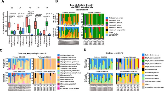 Skin metatranscriptomics reveals a landscape of variation in microbial ...