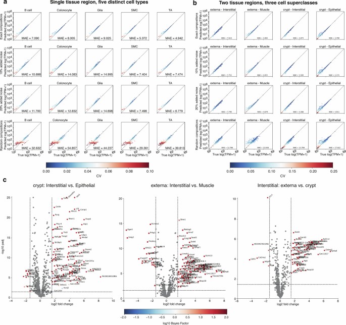 Tissue and cellular spatiotemporal dynamics in colon aging | Nature ...