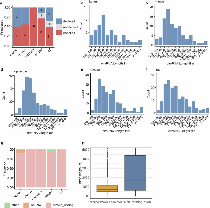 Detecting and quantifying circular RNAs in terabyte-scale RNA-seq datasets with CIRI3 | Nature ...