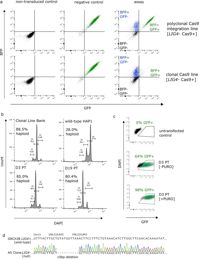 Saturation genome editing of BAP1 functionally classifies somatic and ...
