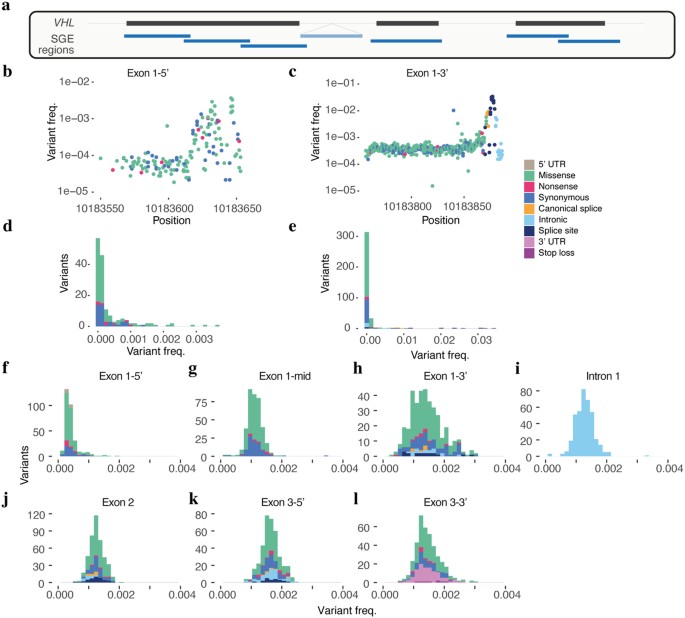 Saturation genome editing maps the functional spectrum of pathogenic VHL alleles | Nature Genetics