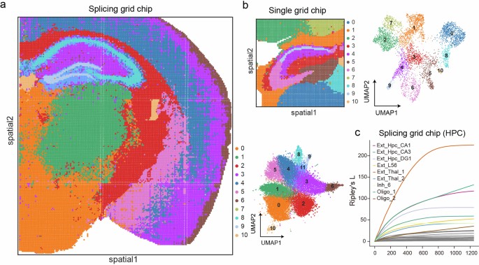 Custom microfluidic chip design enables cost-effective three ...