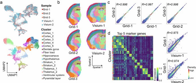 Custom microfluidic chip design enables cost-effective three-dimensional spatiotemporal ...