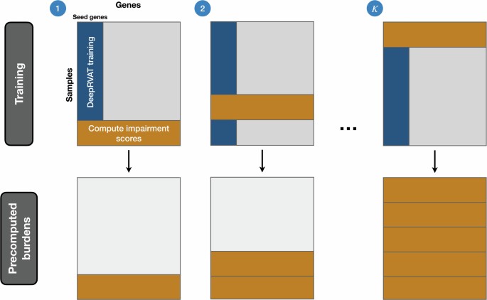 Integration of variant annotations using deep set networks boosts rare variant association ...