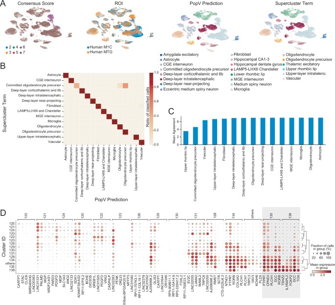 Consensus prediction of cell type labels in single-cell data with popV ...