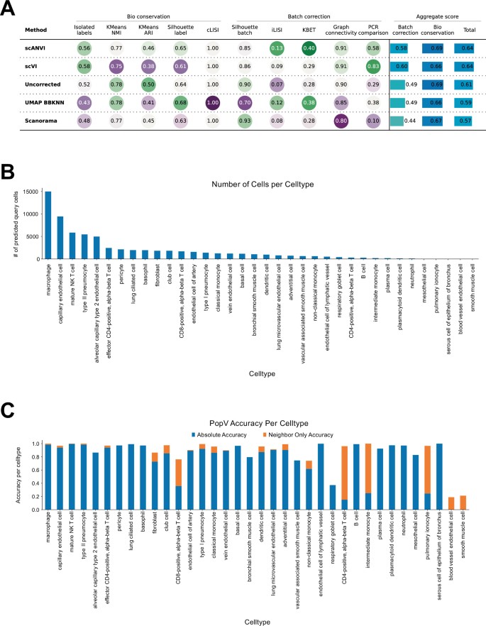 Consensus prediction of cell type labels in single-cell data with popV ...