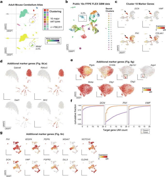Transcript-specific enrichment enables profiling of rare cell states ...