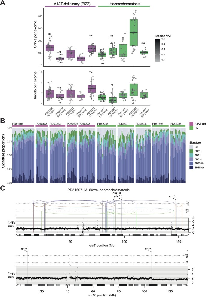 Selection for somatic escape variants in SERPINA1 in the liver of ...