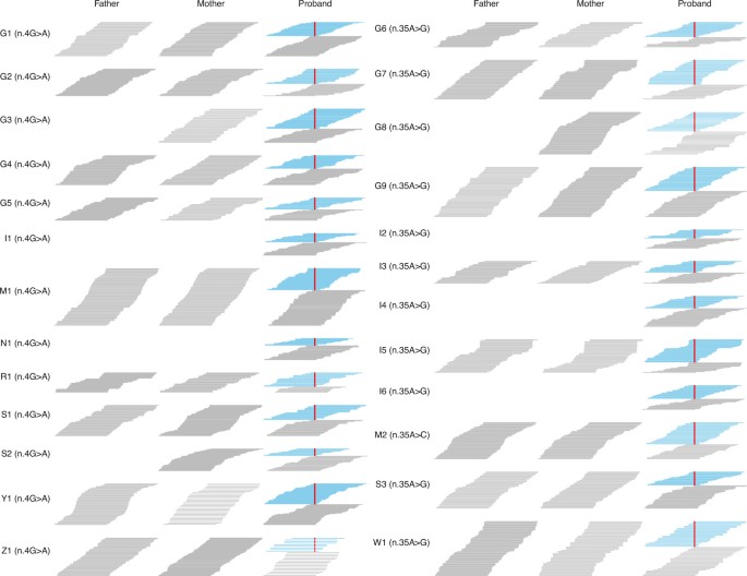 Mutations in the small nuclear RNA gene RNU2-2 cause a severe ...