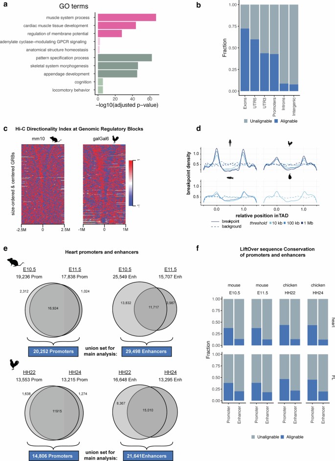Conservation of regulatory elements with highly diverged sequences ...