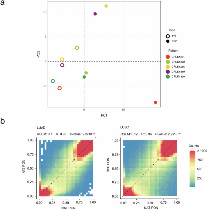 DNA methylation cooperates with genomic alterations during non-small ...