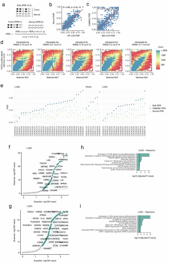 DNA methylation cooperates with genomic alterations during non-small ...