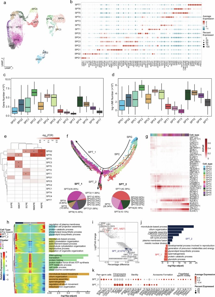 A multi-tissue single-cell expression atlas in cattle | Nature Genetics