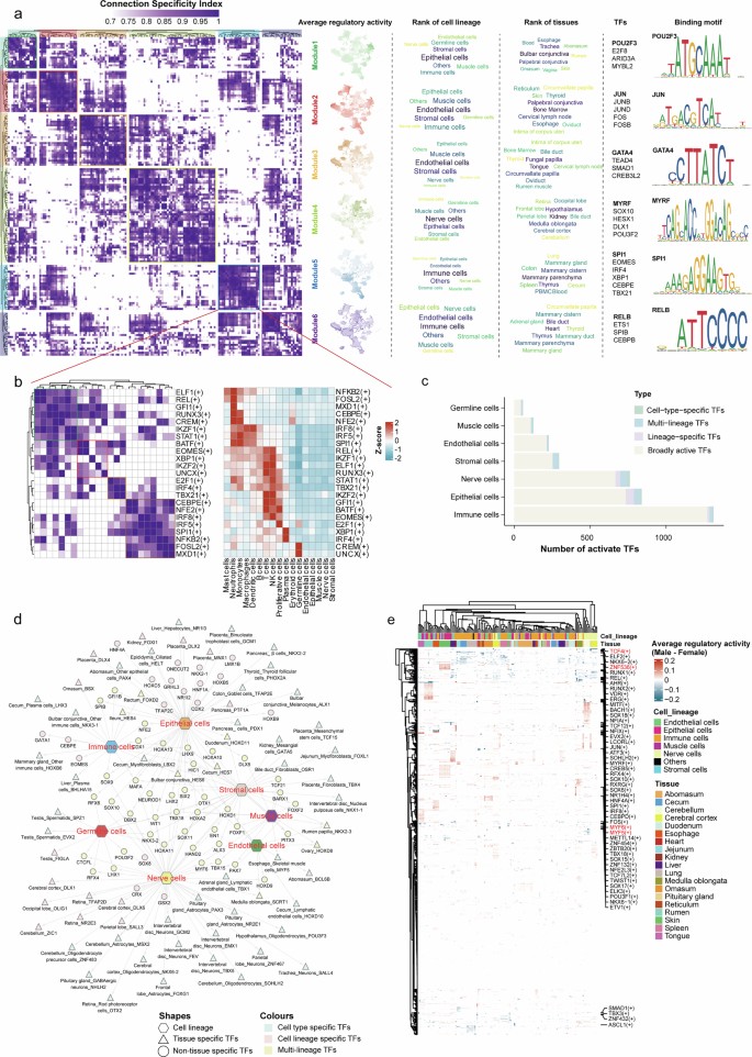 A multi-tissue single-cell expression atlas in cattle | Nature Genetics