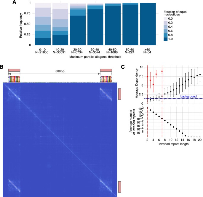 Nucleotide dependency analysis of genomic language models detects ...