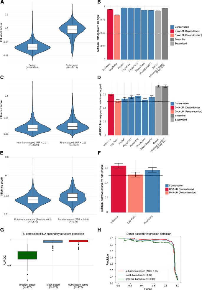 Nucleotide dependency analysis of genomic language models detects ...