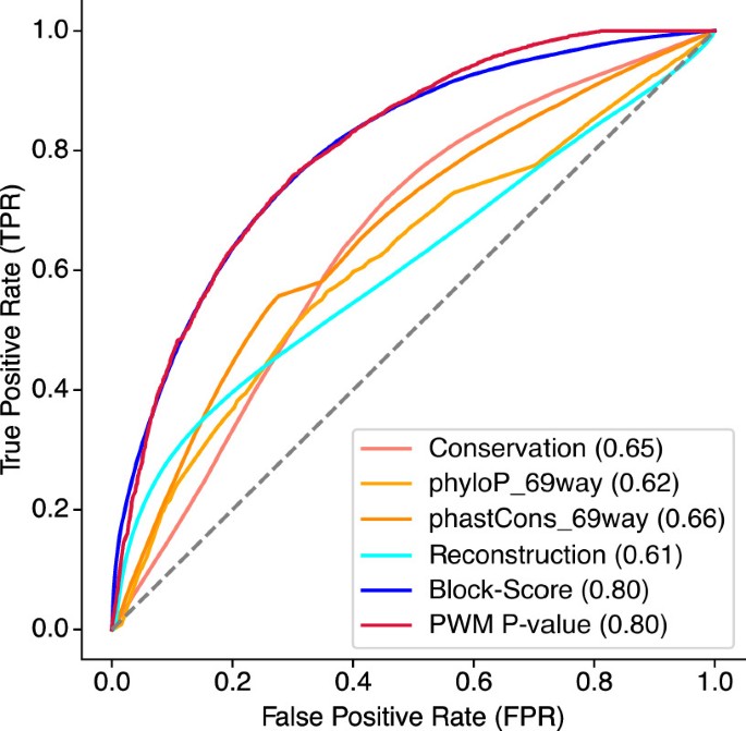 Nucleotide dependency analysis of genomic language models detects ...