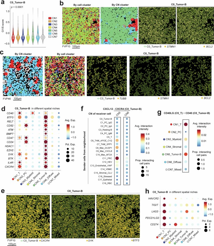 Multi-modal spatial characterization of tumor immune microenvironments ...