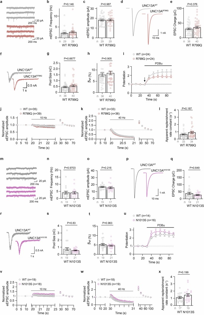 Pathogenic UNC13A variants cause a neurodevelopmental syndrome by ...