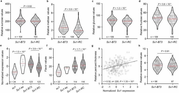 Genetic basis of flavor complexity in sweet corn | Nature Genetics