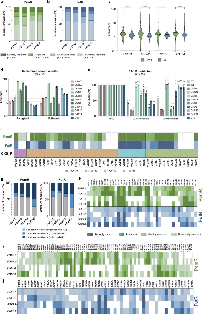 Saturation mutagenesis identifies activating and resistance-inducing ...