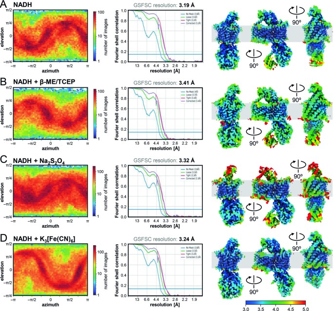Architecture of the RNF1 complex that drives biological nitrogen ...