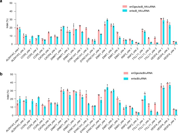 Assessing and engineering the IscB–ωRNA system for programmed genome ...