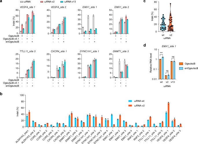 Assessing and engineering the IscB–ωRNA system for programmed genome ...