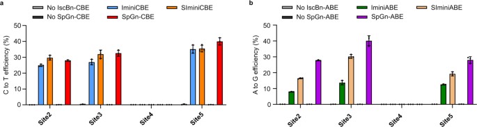 Engineering miniature IscB nickase for robust base editing with broad targeting range | Nature ...