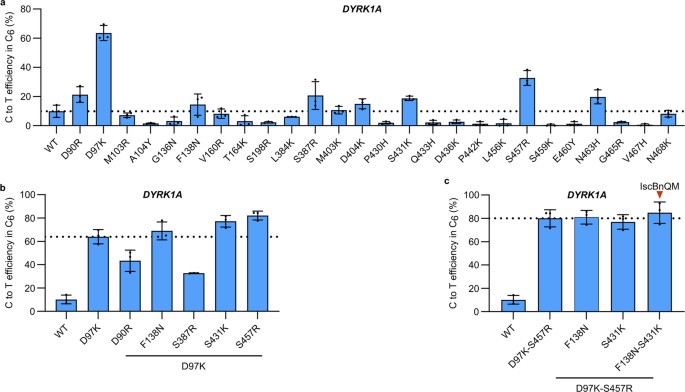 Engineering miniature IscB nickase for robust base editing with broad targeting range | Nature ...