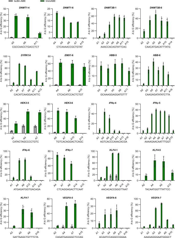 Engineering miniature IscB nickase for robust base editing with broad targeting range | Nature ...