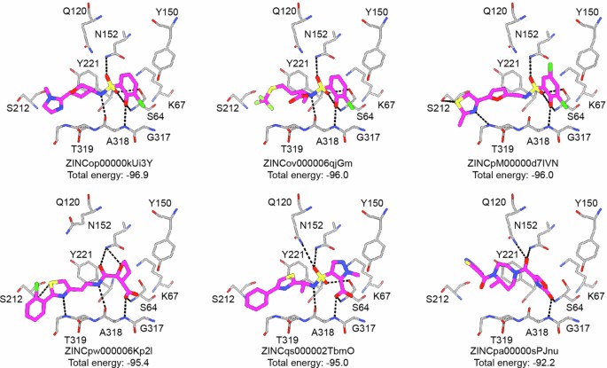 The impact of library size and scale of testing on virtual screening ...